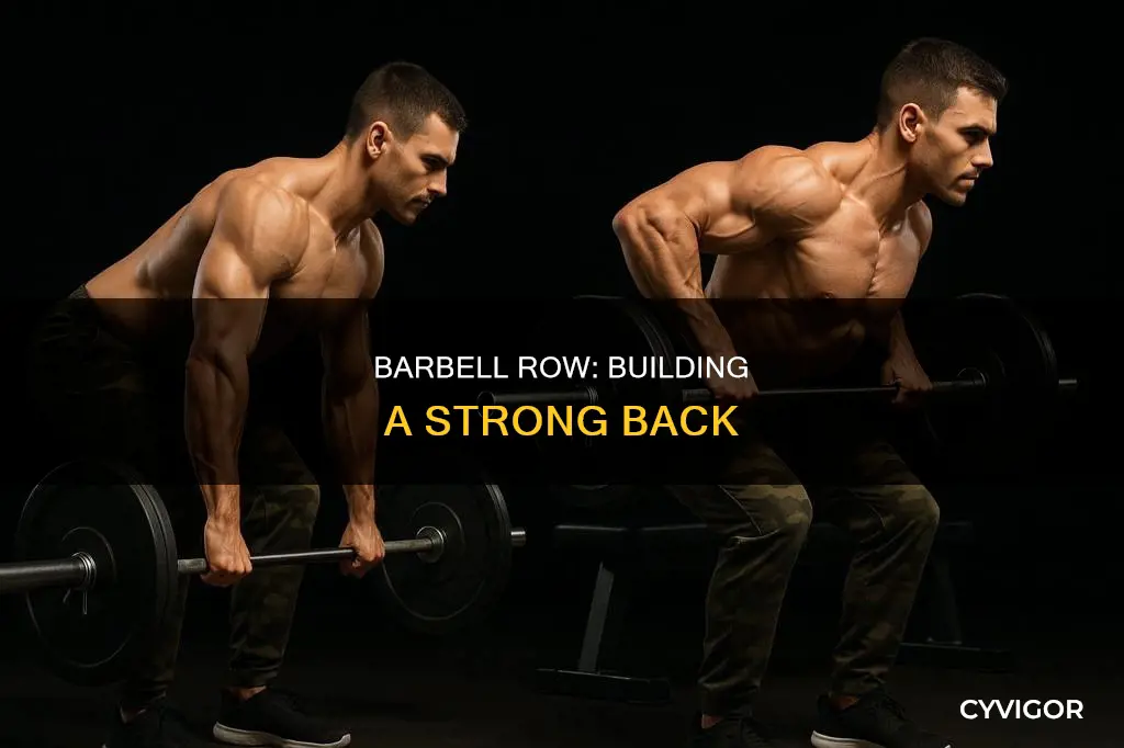 Barbell Row: Building A Strong Back | CyVigor