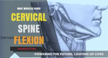 Understanding Bow Legs: Muscles And Factors Behind The Condition | CyVigor