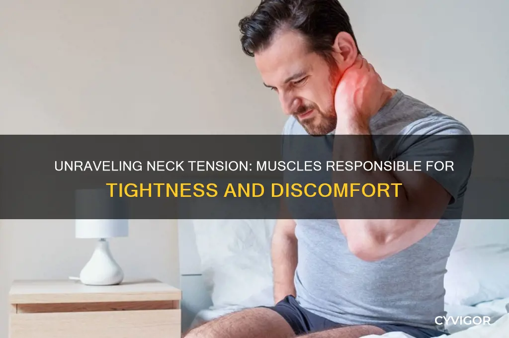 Unraveling Neck Tension: Muscles Responsible For Tightness And ...