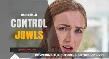 Muscles Involved In Coughing: A Quick Guide | CyVigor