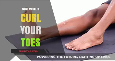 Ankle Inversion: Which Muscles Are Involved And Why? | CyVigor