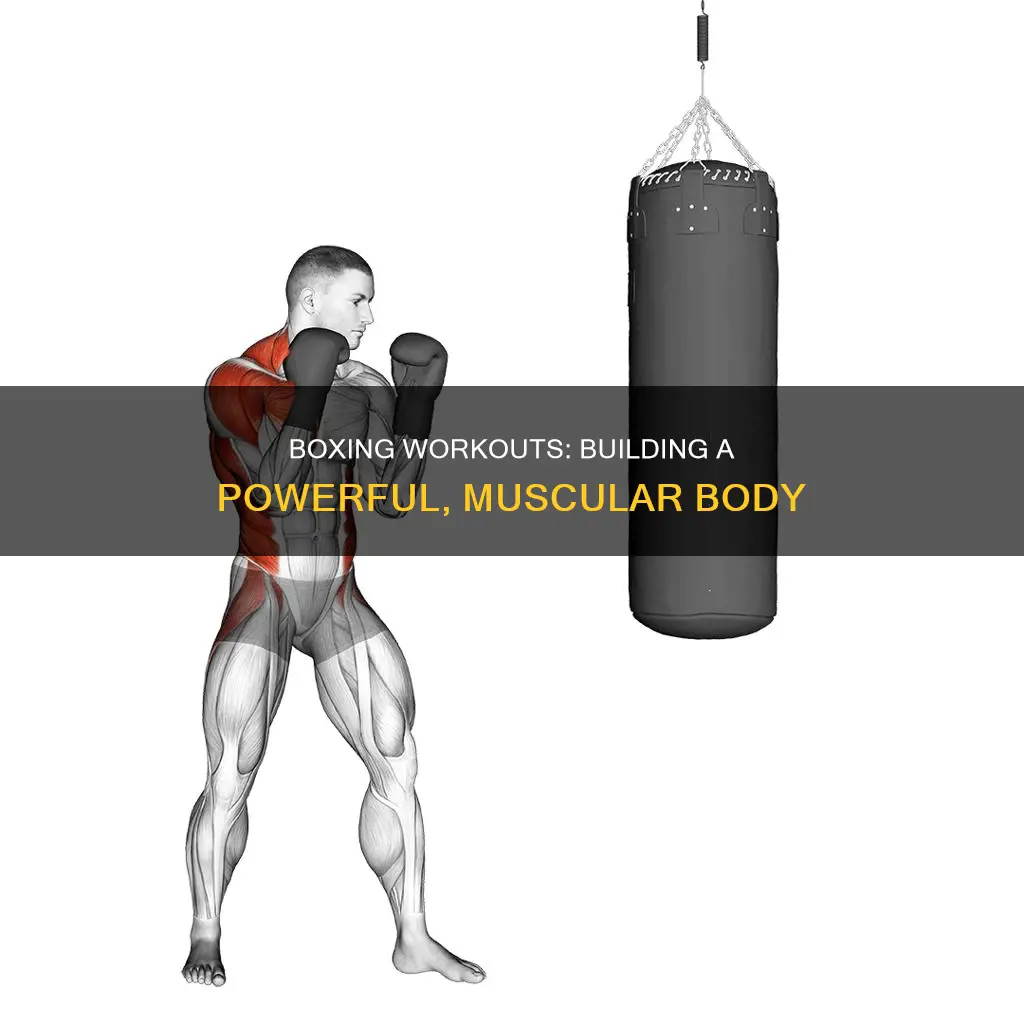 Boxing Workouts: Building A Powerful, Muscular Body | CyVigor