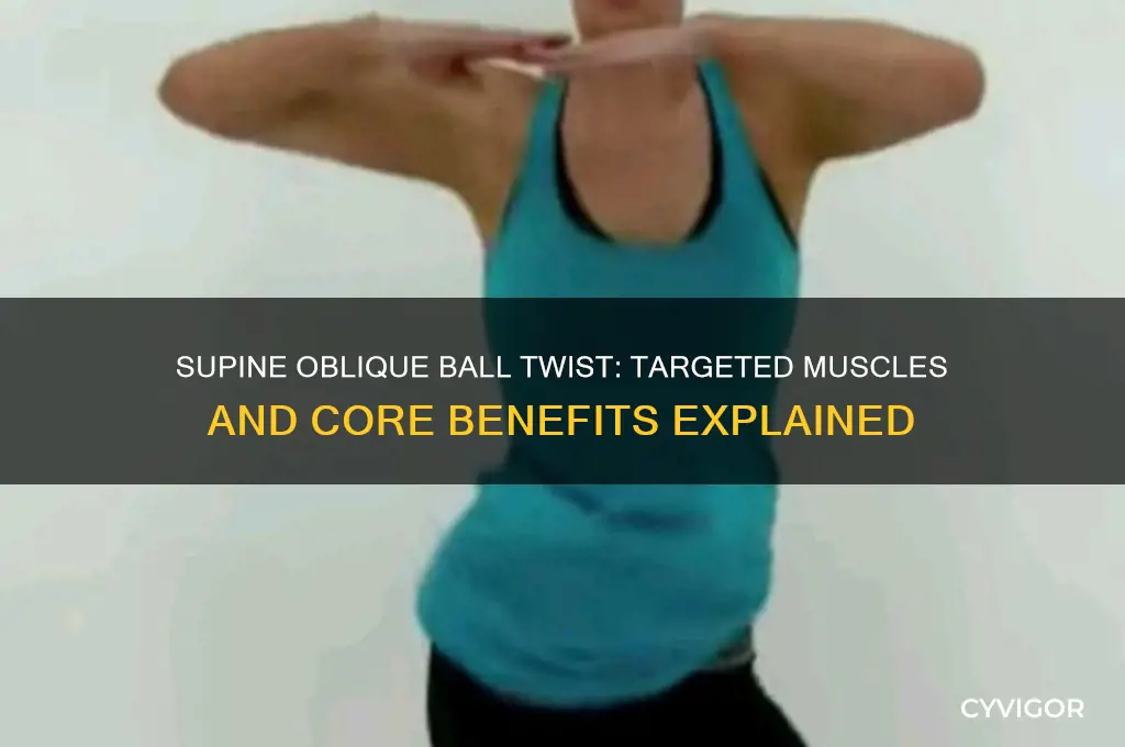 Supine Oblique Ball Twist: Targeted Muscles And Core Benefits Explained ...