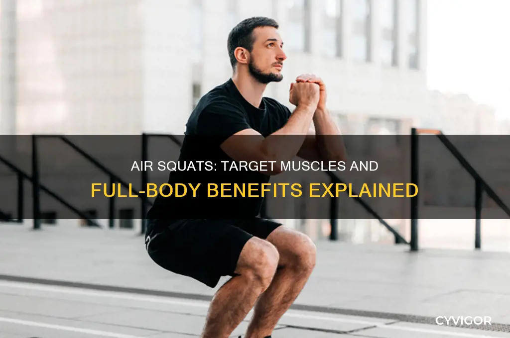 Air Squats: Target Muscles And Full-Body Benefits Explained | CyVigor