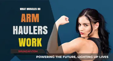 Arm Bike Benefits: Targeted Muscles And Strength Training Explained ...