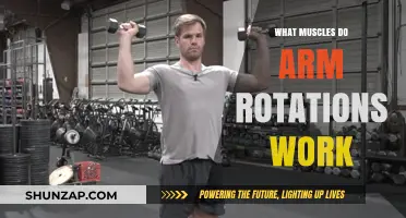 Arm Swings: Targeted Muscles And Benefits For Upper Body Strength | CyVigor