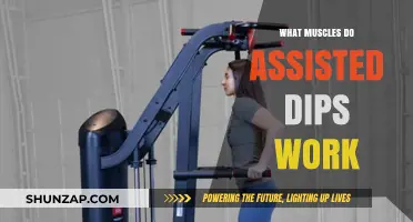 Arm Swings: Targeted Muscles And Benefits For Upper Body Strength | CyVigor