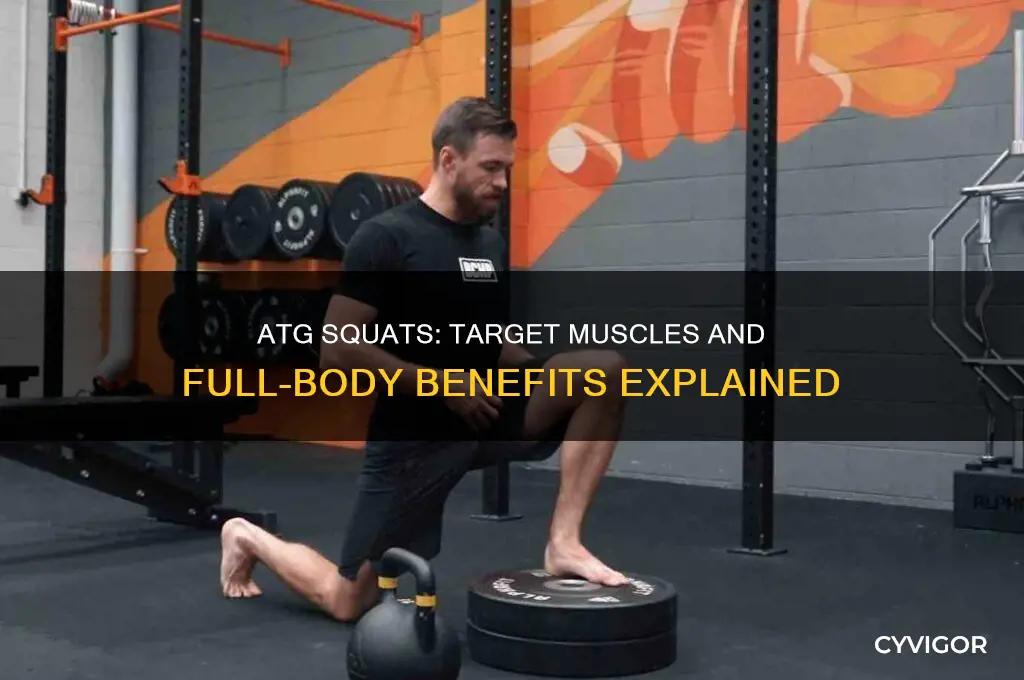 Atg Squats: Target Muscles And Full-Body Benefits Explained | CyVigor