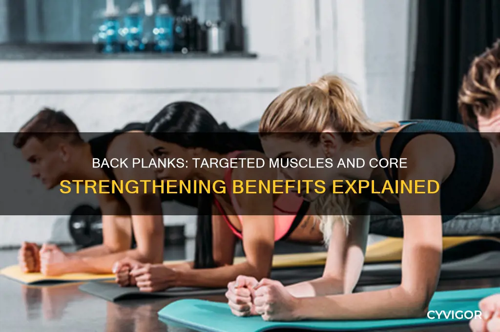 Back Planks: Targeted Muscles And Core Strengthening Benefits Explained ...