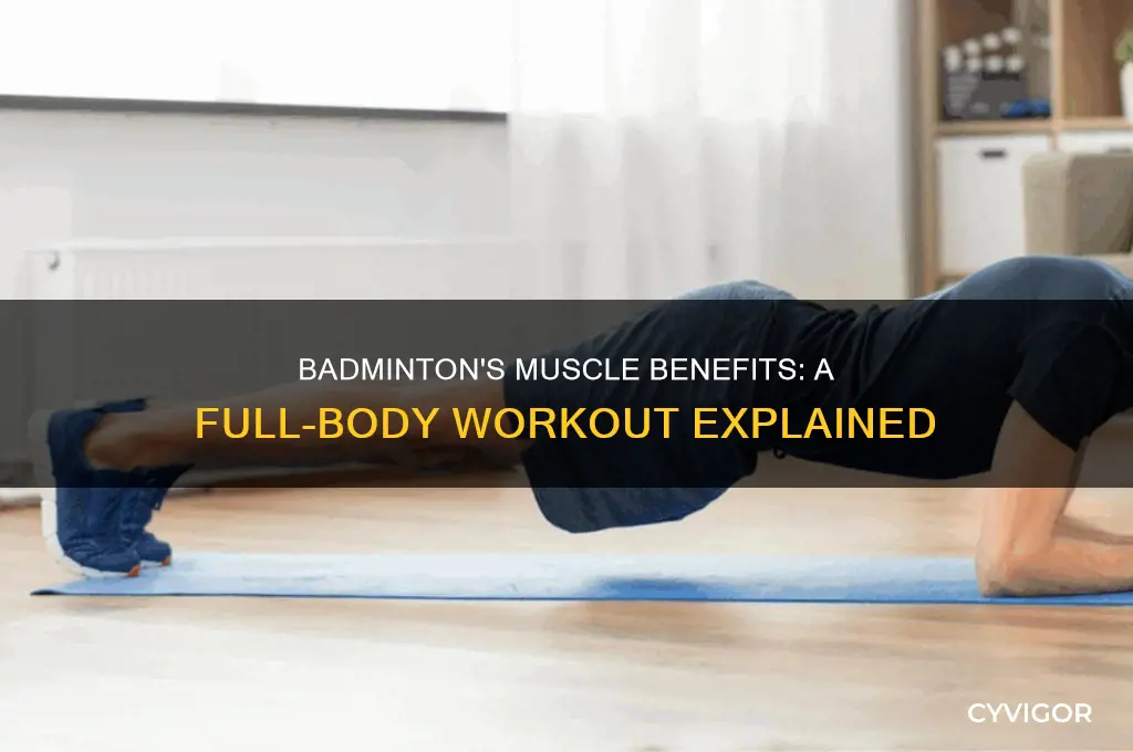 Badminton's Muscle Benefits: A Full-Body Workout Explained | CyVigor