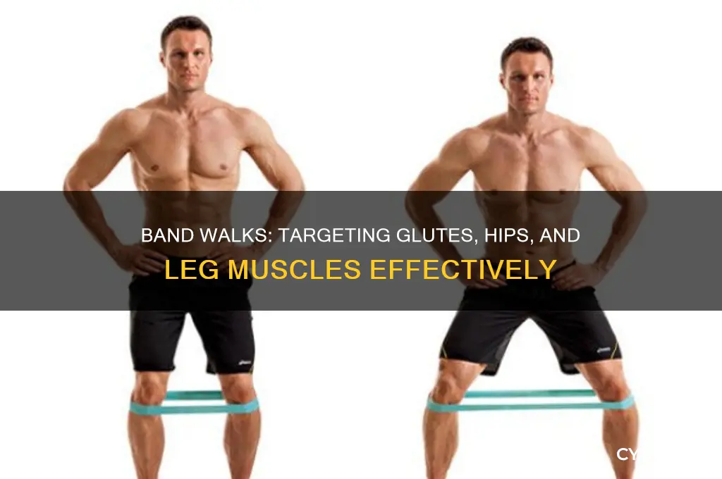 Band Walks: Targeting Glutes, Hips, And Leg Muscles Effectively | CyVigor