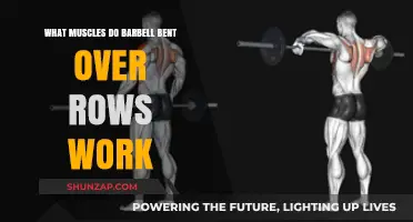 Bear Holds: Targeted Muscles And Strength Benefits Explained | CyVigor