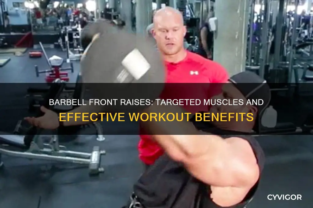 Barbell Front Raises: Targeted Muscles And Effective Workout Benefits ...