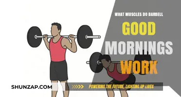 Banded Lateral Walks: Target Muscles And Benefits Explained | CyVigor