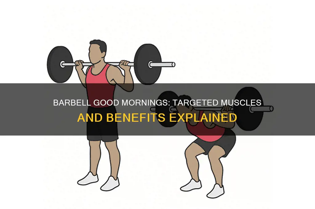 Barbell Good Mornings: Targeted Muscles And Benefits Explained | CyVigor