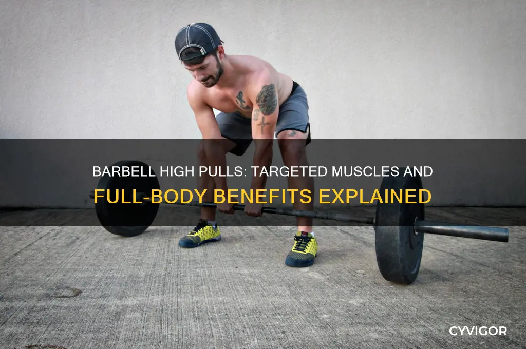 Barbell High Pulls: Targeted Muscles And Full-Body Benefits Explained ...