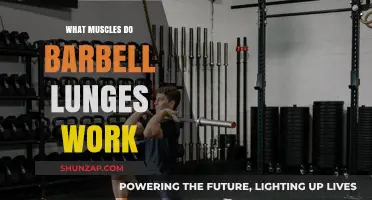 Banded Lateral Walks: Target Muscles And Benefits Explained | CyVigor