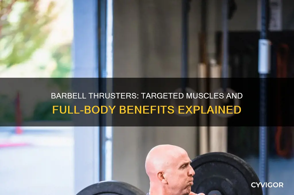 Barbell Thrusters: Targeted Muscles And Full-Body Benefits Explained ...