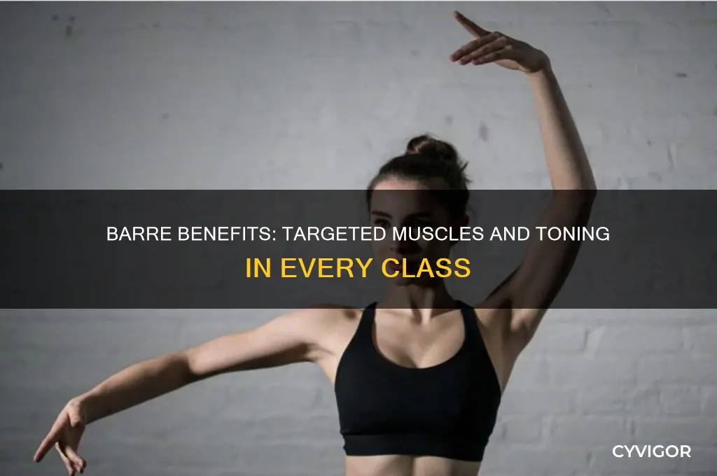 Barre Benefits: Targeted Muscles And Toning In Every Class | CyVigor