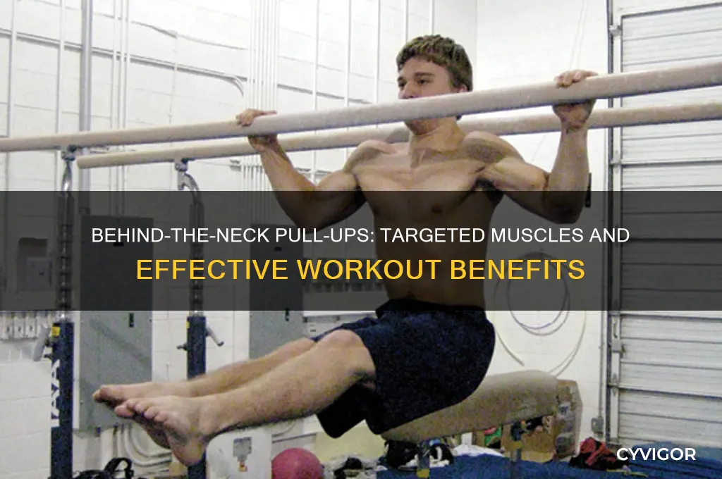 Behind-The-Neck Pull-Ups: Targeted Muscles And Effective Workout ...