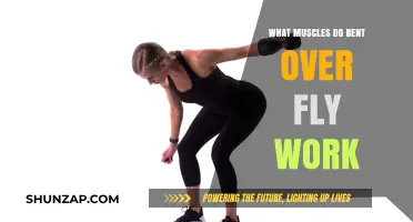 Bent Knee Fall Outs: Targeted Muscles And Core Benefits Explained | CyVigor