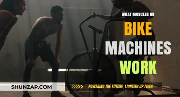 Bicycle Kicks: Target Muscles And Benefits For Core And Lower Body ...