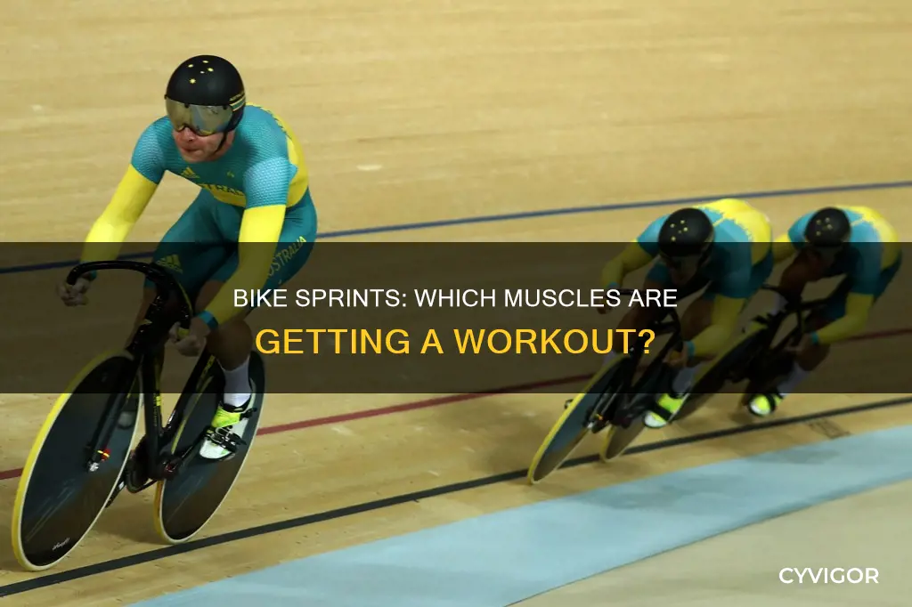 Bike Sprints: Which Muscles Are Getting A Workout? | CyVigor