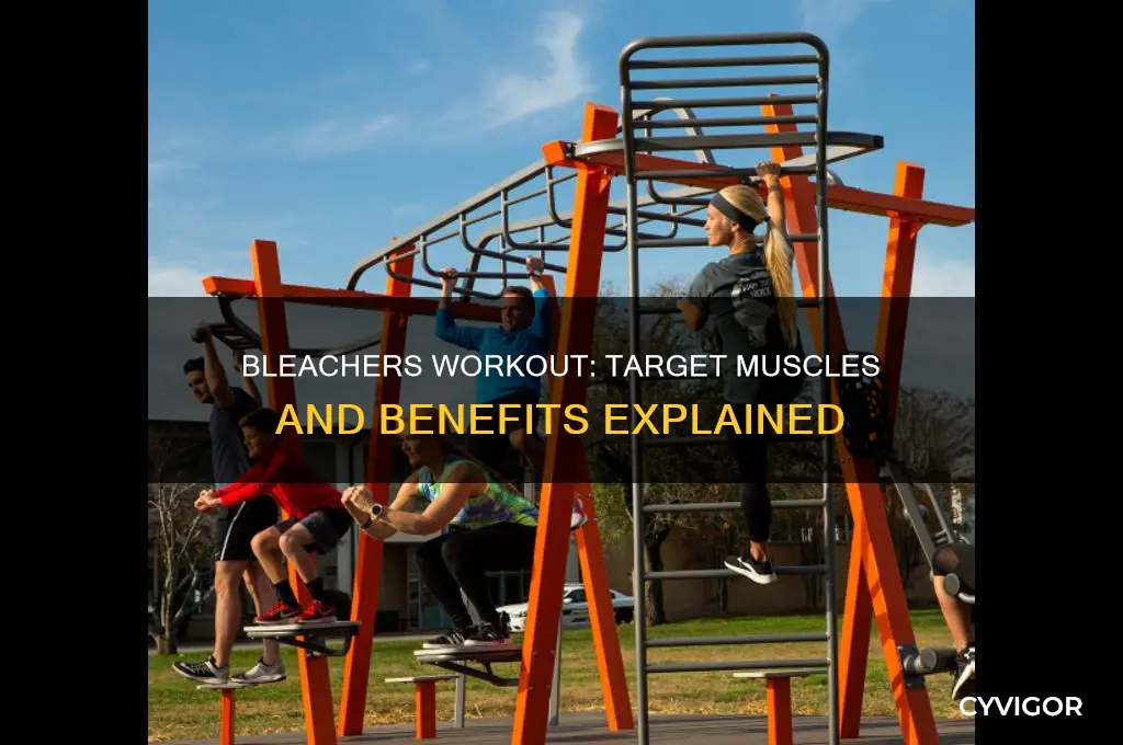 Bleachers Workout: Target Muscles And Benefits Explained | CyVigor
