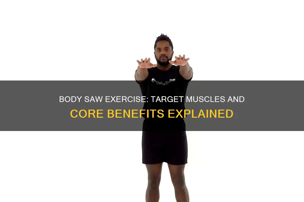 Body Saw Exercise: Target Muscles And Core Benefits Explained | CyVigor