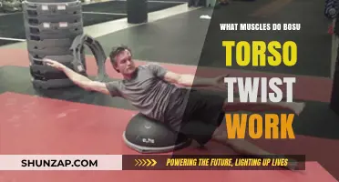 Box Step Ups: Targeted Muscles And Full-Body Benefits Explained | CyVigor