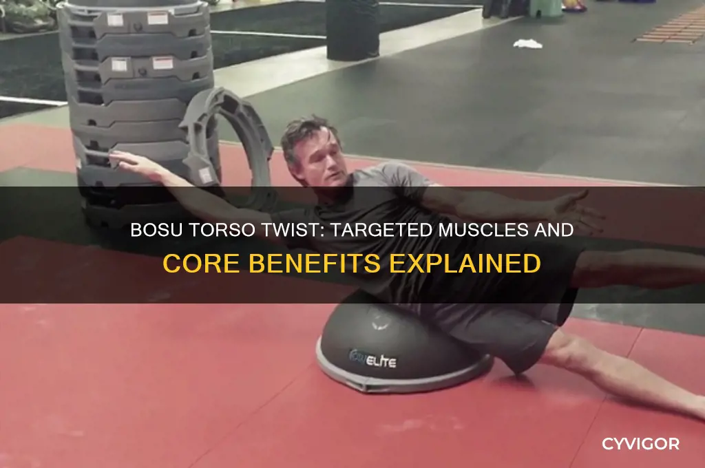 Bosu Torso Twist: Targeted Muscles And Core Benefits Explained | CyVigor