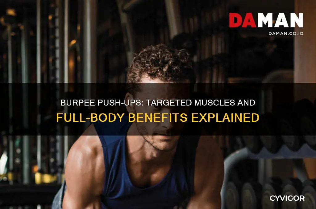 Burpee Push-Ups: Targeted Muscles And Full-Body Benefits Explained ...