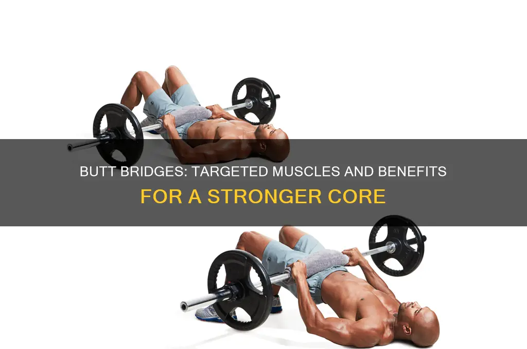 Butt Bridges: Targeted Muscles And Benefits For A Stronger Core | CyVigor