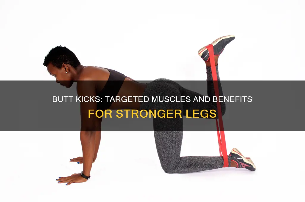 Butt Kicks: Targeted Muscles And Benefits For Stronger Legs | CyVigor