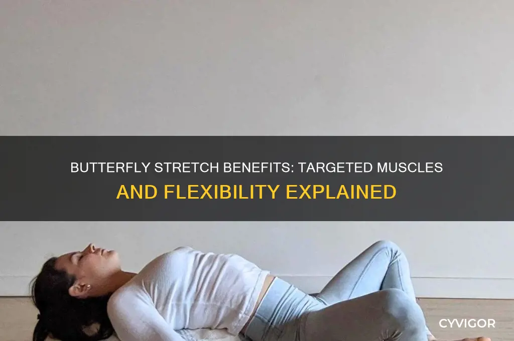 Butterfly Stretch Benefits: Targeted Muscles And Flexibility Explained ...