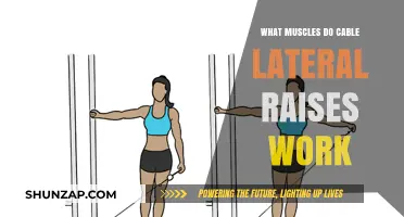 Calf Raises: Target Muscles, Benefits, And Effective Techniques ...