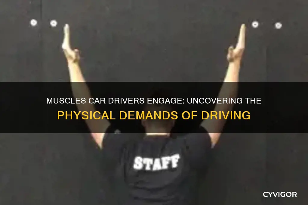 Muscles Car Drivers Engage: Uncovering The Physical Demands Of Driving ...