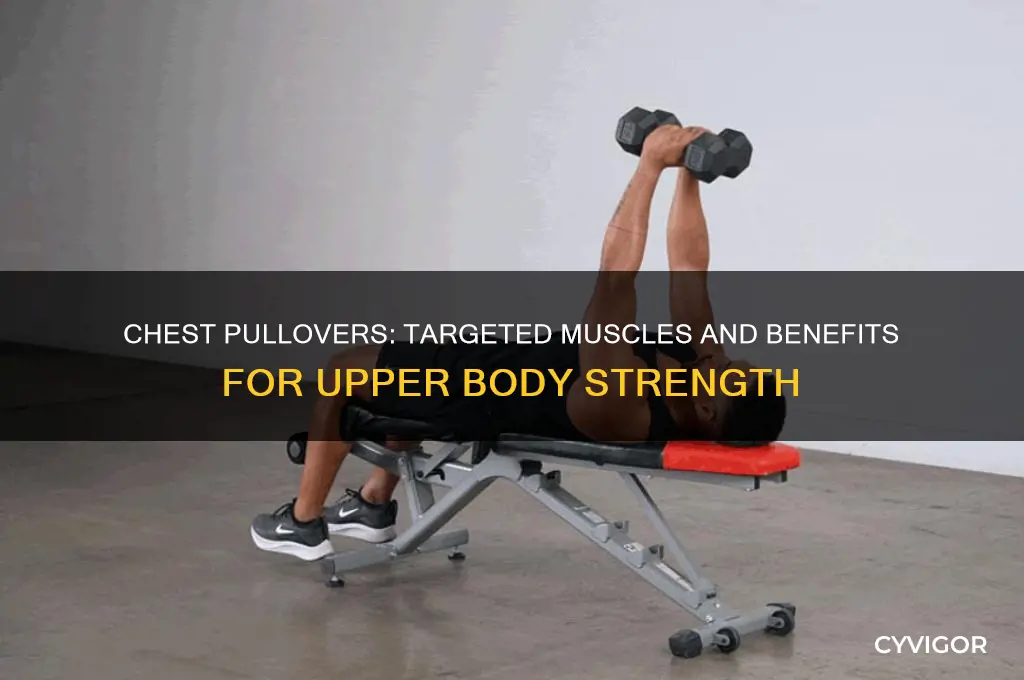 Chest Pullovers: Targeted Muscles And Benefits For Upper Body Strength ...