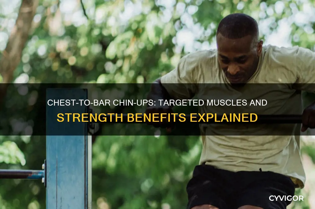 Chest-To-Bar Chin-Ups: Targeted Muscles And Strength Benefits Explained ...