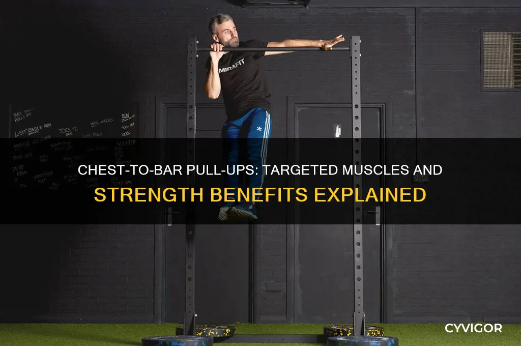 Chest-To-Bar Pull-Ups: Targeted Muscles And Strength Benefits Explained ...