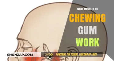 Muscles Worked By Chin-Ups: Detailed Diagram And Breakdown | CyVigor