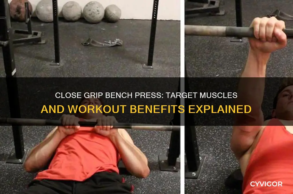 Close Grip Bench Press: Target Muscles And Workout Benefits Explained ...