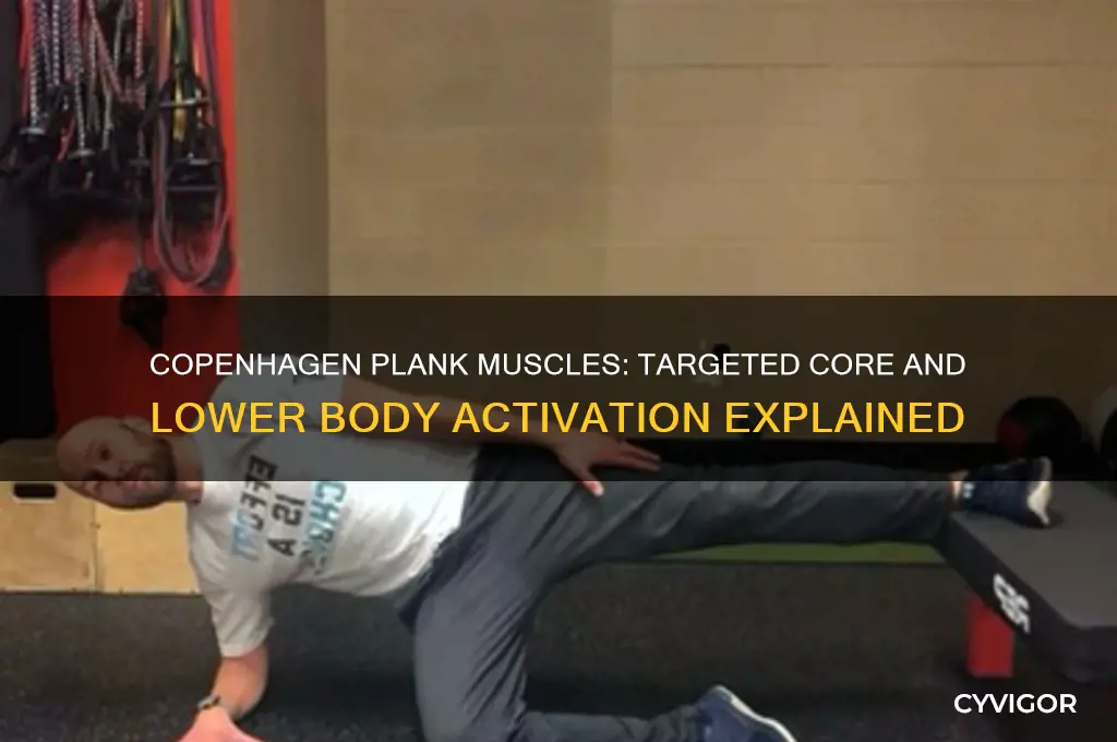 Copenhagen Plank Muscles: Targeted Core And Lower Body Activation ...