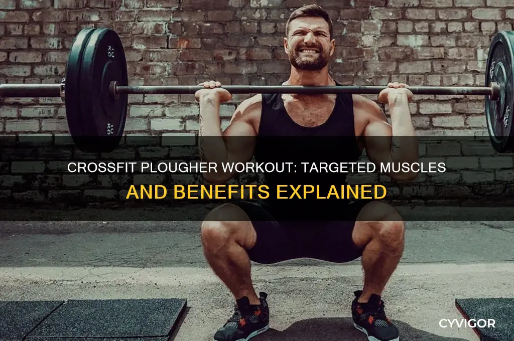 Crossfit Plougher Workout: Targeted Muscles And Benefits Explained ...