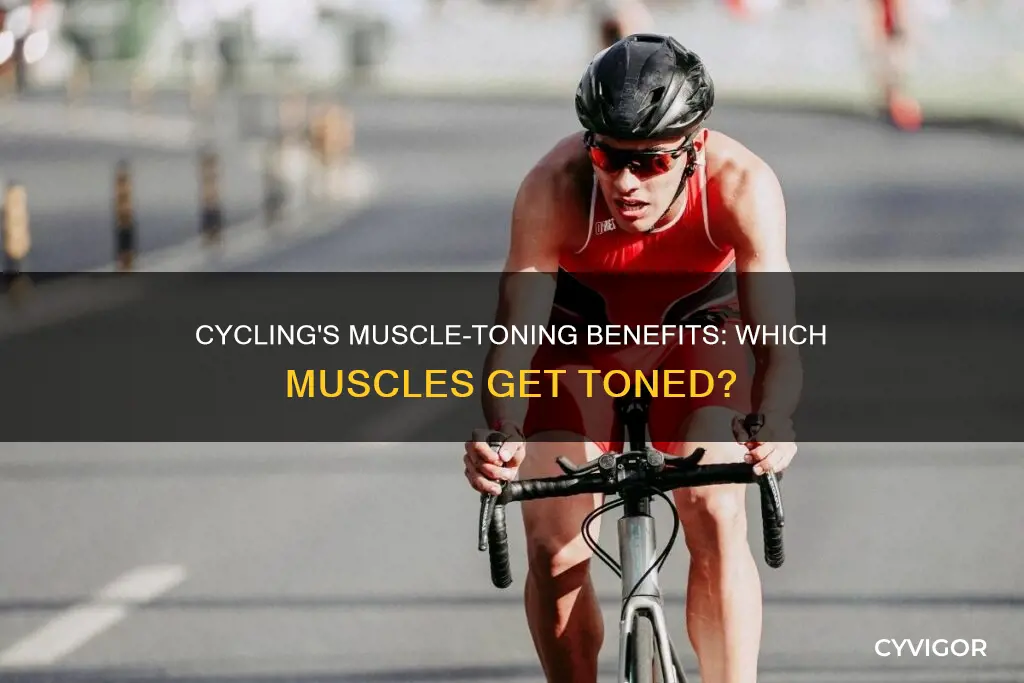 Cycling's Muscle-Toning Benefits: Which Muscles Get Toned? | CyVigor
