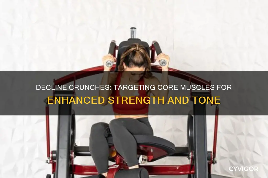 Decline Crunches: Targeting Core Muscles For Enhanced Strength And Tone ...