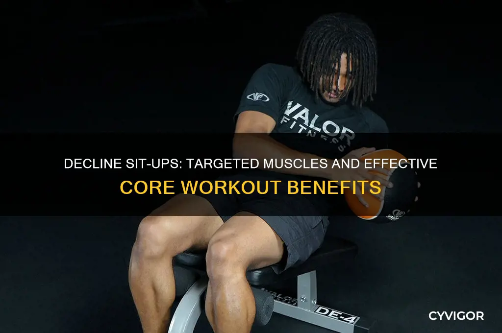 Decline Sit-Ups: Targeted Muscles And Effective Core Workout Benefits ...