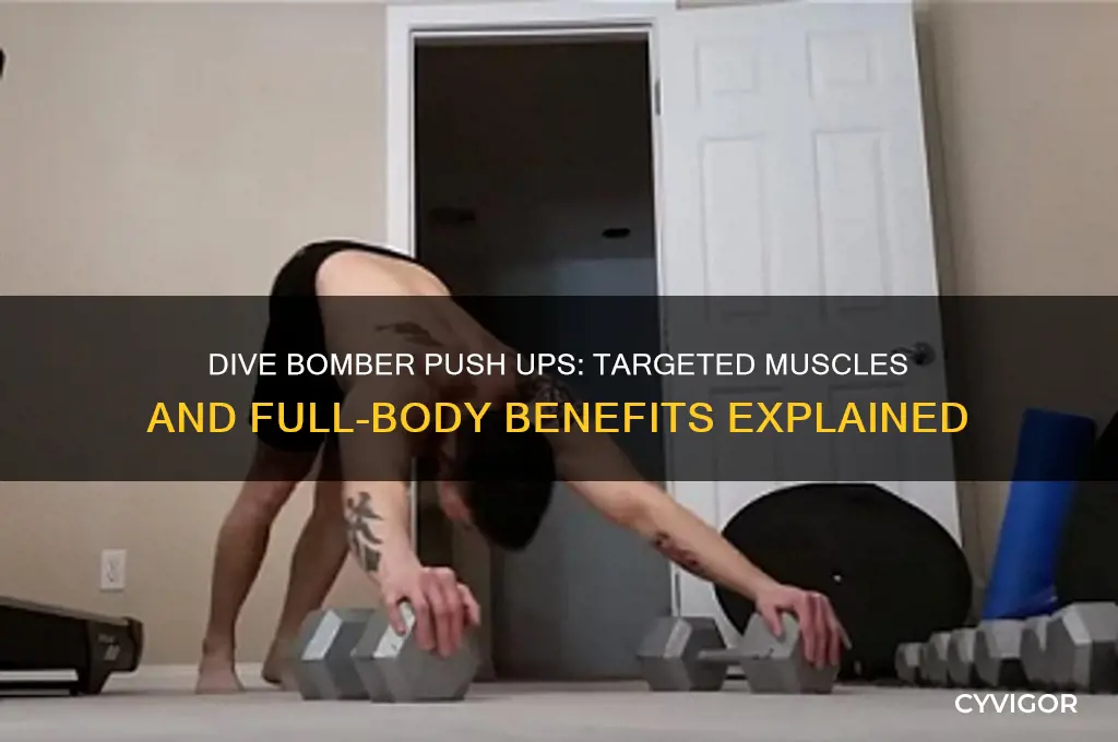 Dive Bomber Push Ups: Targeted Muscles And Full-Body Benefits Explained ...