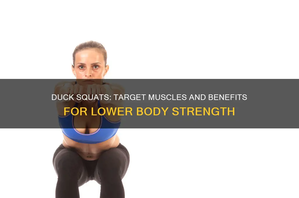 Duck Squats: Target Muscles And Benefits For Lower Body Strength | CyVigor