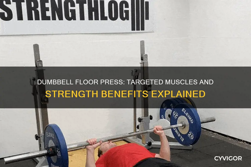 Dumbbell Floor Press: Targeted Muscles And Strength Benefits Explained ...